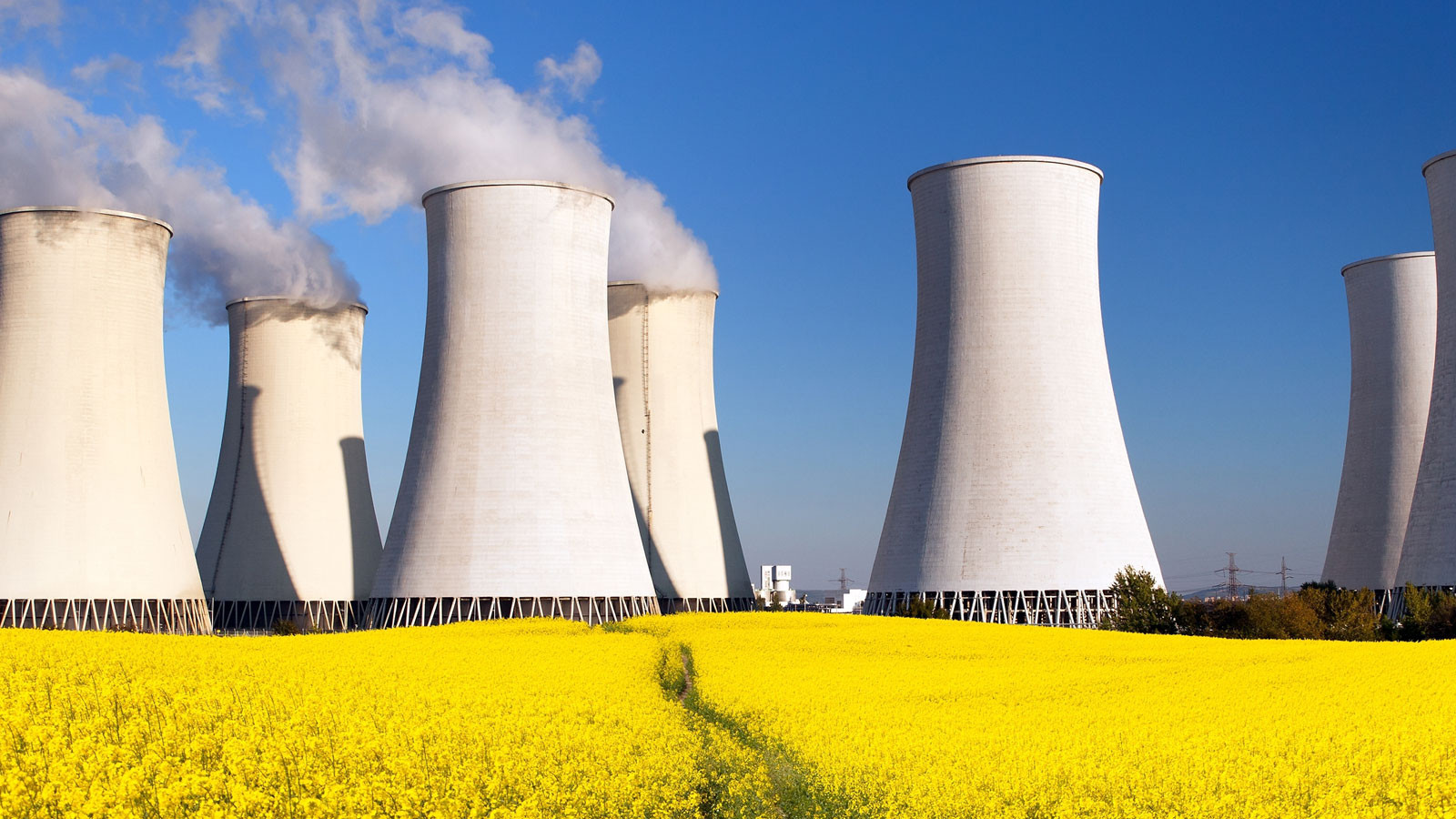 Installation & Commissioning - Nuclear - Altea Energy