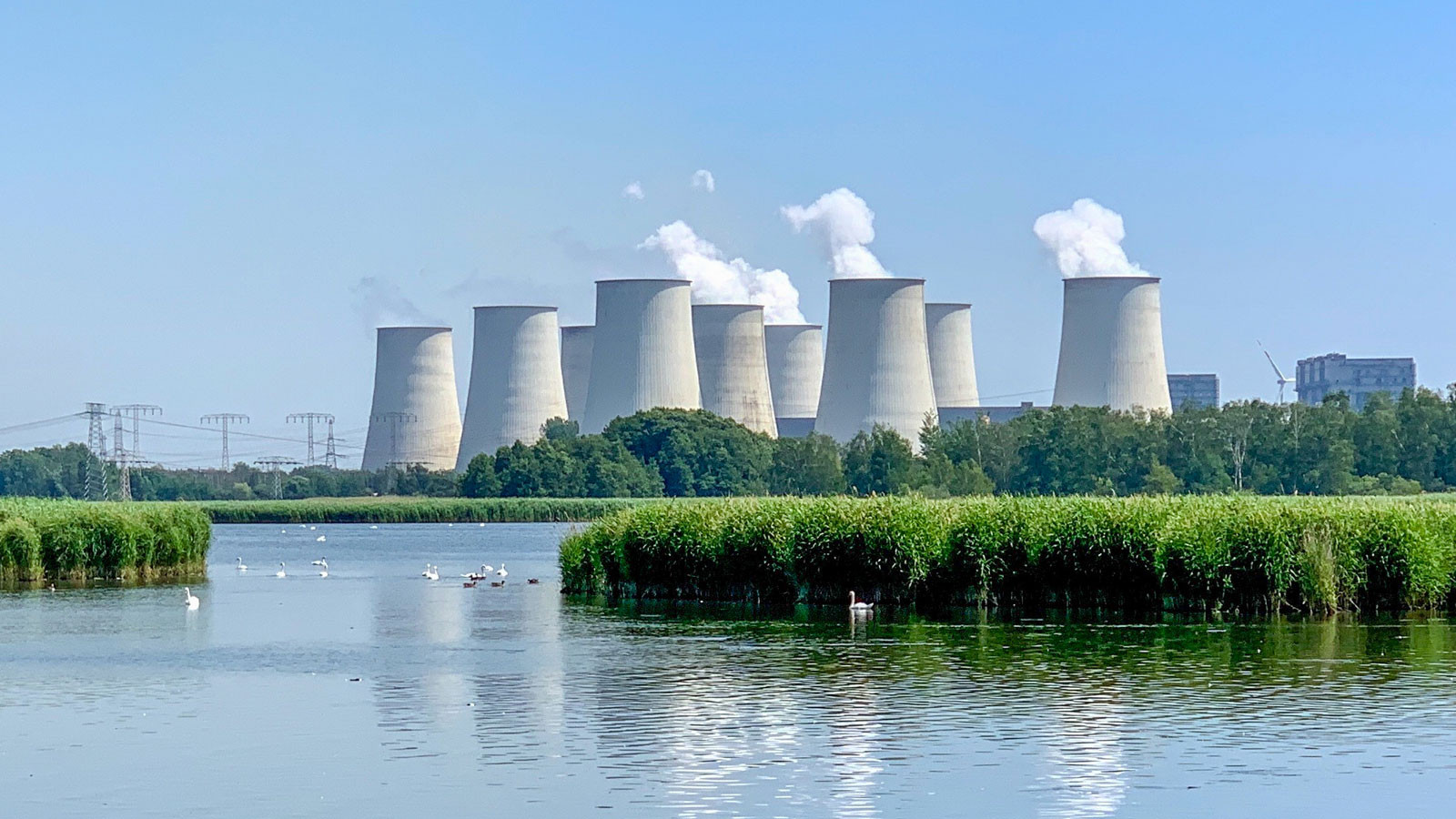 Procurement - Nuclear - Altea Energy