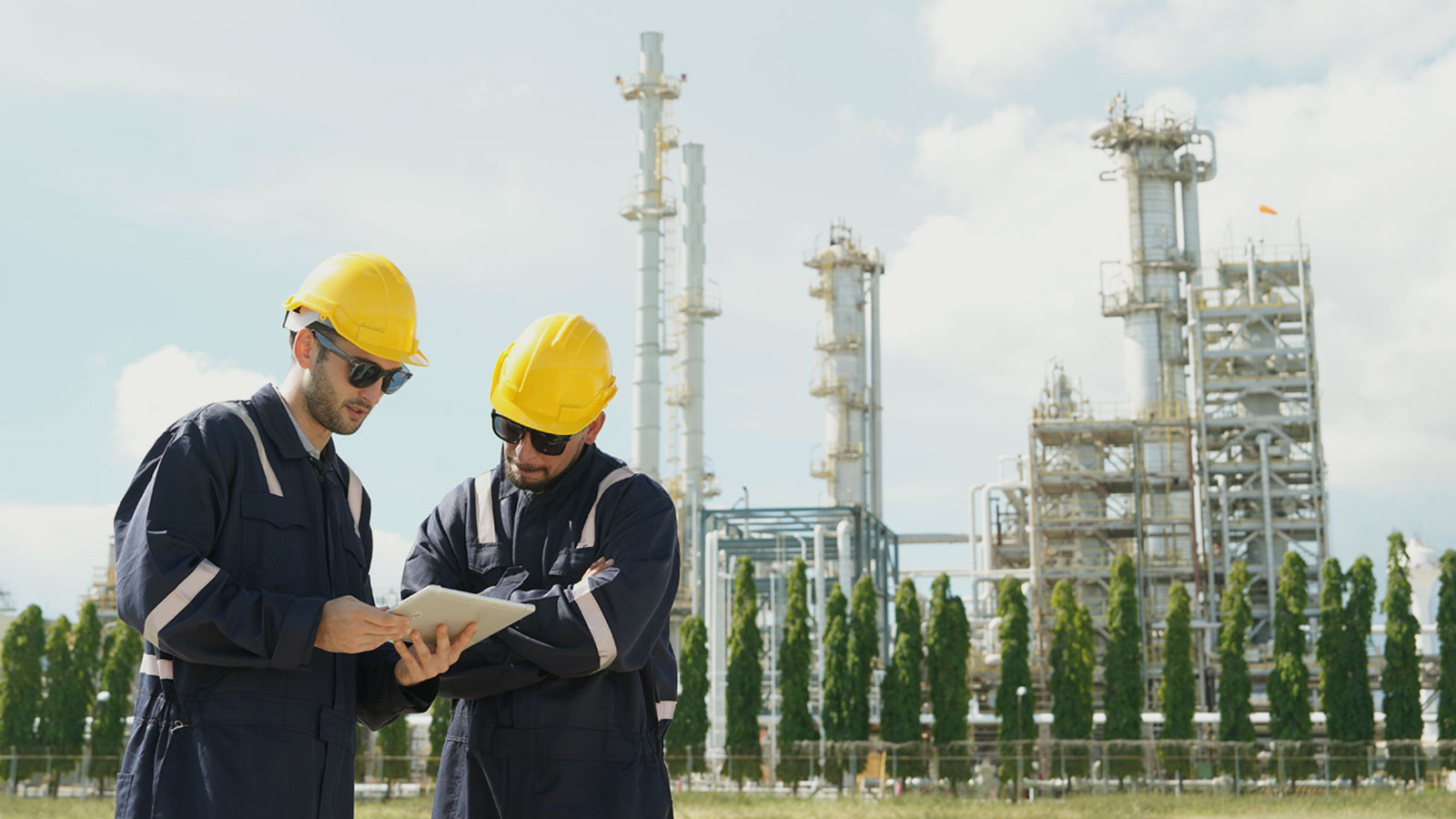 Project Management - Oil and Gas Jobs - Energy Consultant - Altea Energy